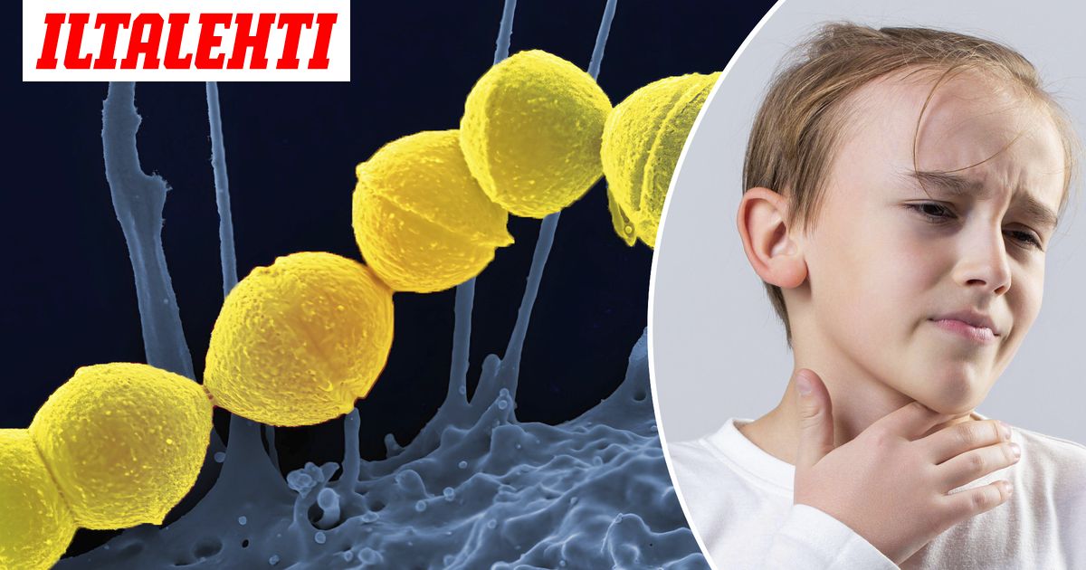 Vaarallinen bakteeri syypää 16 lapsen kuolemaan Isossa-Britanniassa