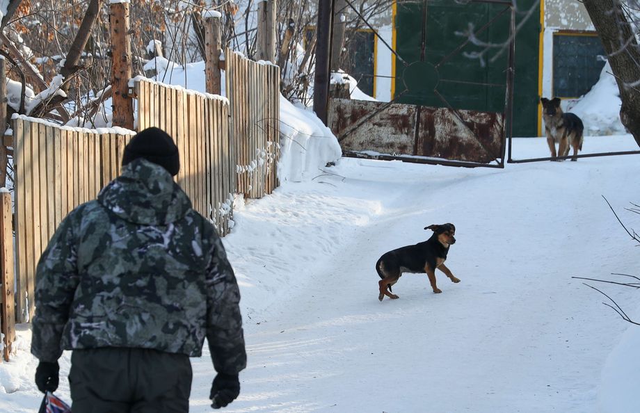 Kauhea tauti raivoaa Moskovan alueella