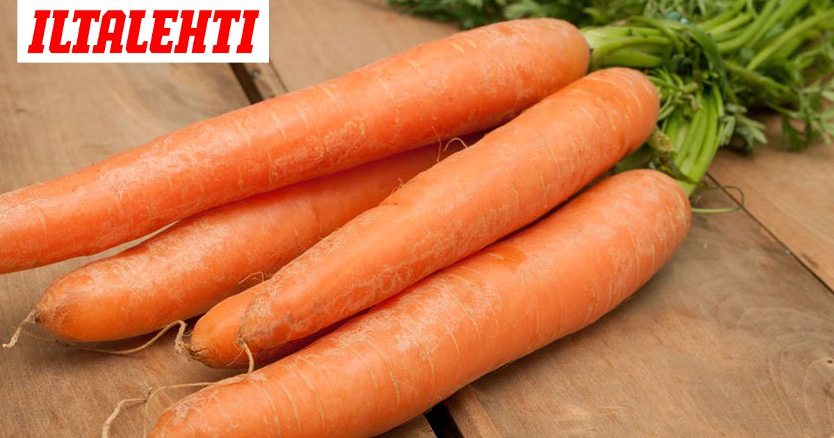 Pilko porkkanoille uusi muoto - IL-TV