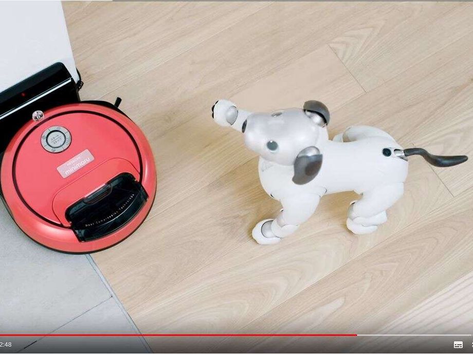 Koirankin voi nyt koodata kotitöihin – legendaarisen robottihauvan koodi on nyt avointa riistaa