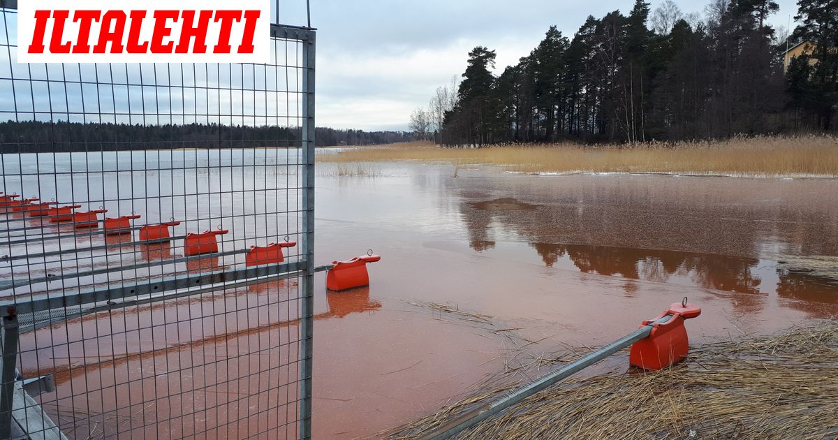 Tästä syystä merivesi on punaista Espoossa