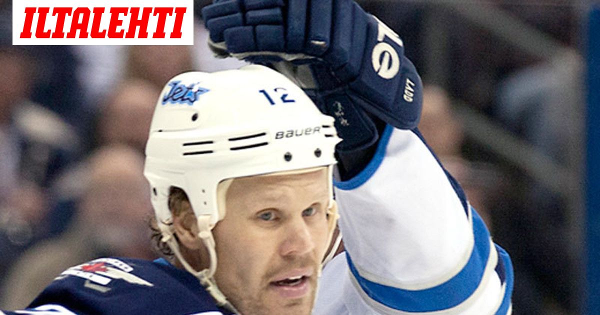 Hän on jälleen valmis leijonaksi