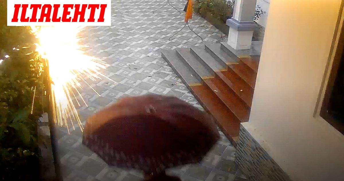 Salaman isku miehen viereen tallentui videolle Vietnamissa