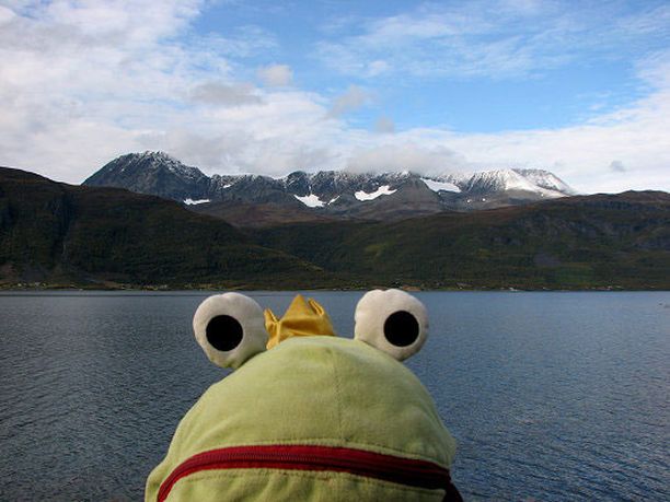 Samppi Sammakko kiipeilee korkeilla vuorilla - katso kuvat