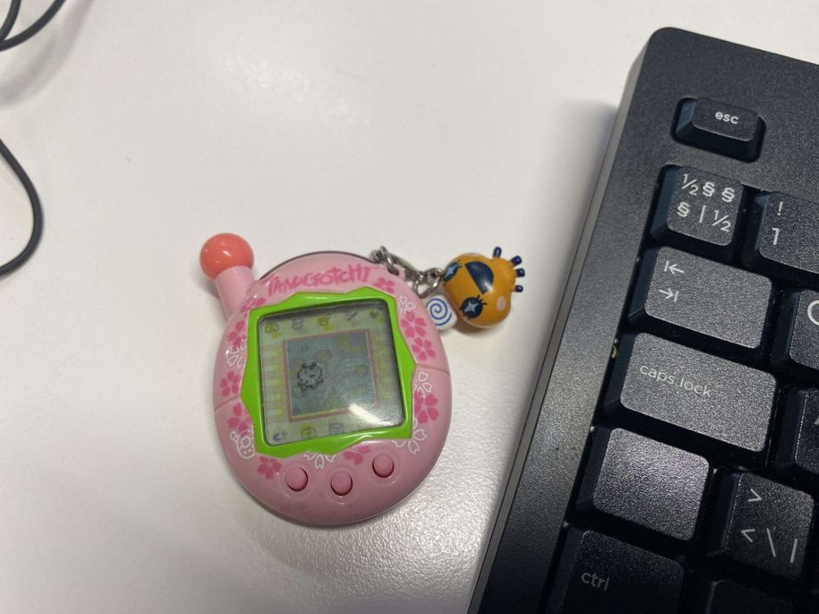 Muistatko vielä Tamagotchin? Helmi herätti megasuositun olion henkiin ...