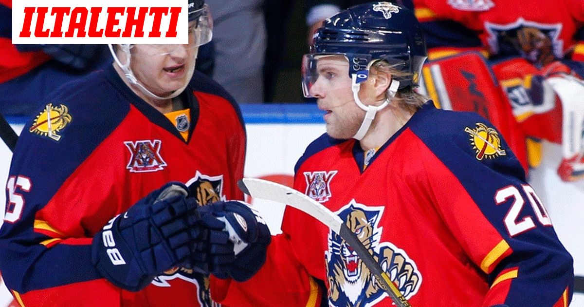 Bergenheimin rymistely vakuuttanut valmentajan: "Norsu posliinikaupassa"