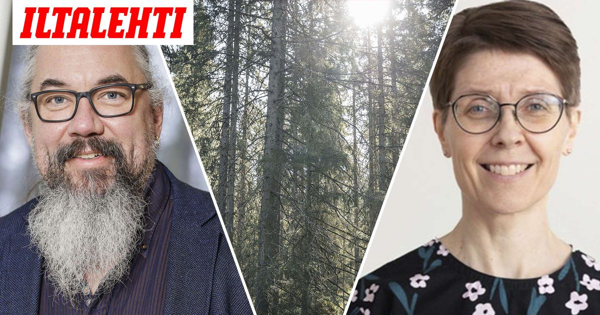 Suomi halusi kaataa kohutun EU-asetuksen – Professori tyrmistyi