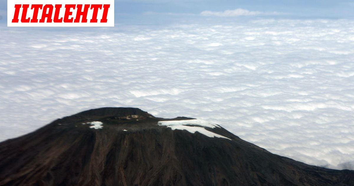 Jalaton mies kiipesi Kilimanjarolle - katso linkki