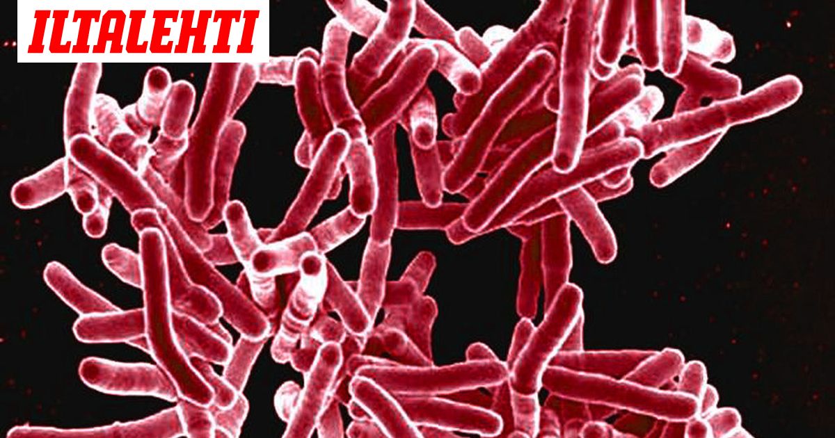 Lukiolaisella todettiin tarttuva tuberkuloosi Hämeenlinnassa