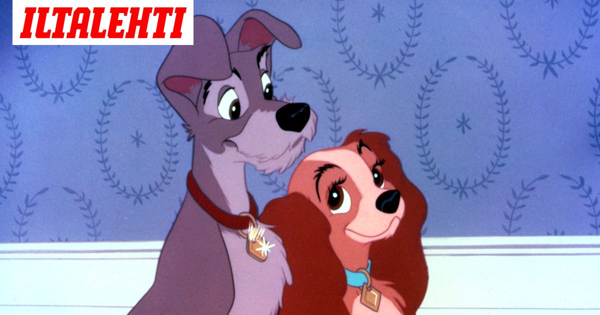 Kaunotar ja kulkuri -elokuvassa ei nähdä siamilaiskissoja