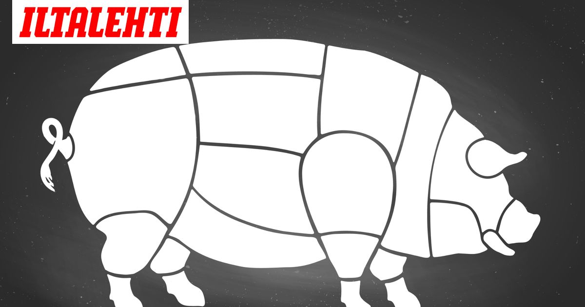 Huijareiden työkalupakista pelottava paljastus – Näin uhri ”teurastetaan”