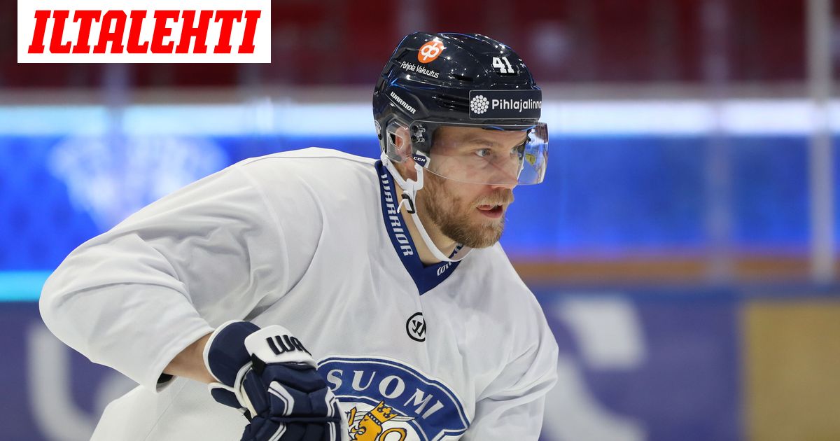 Ilari Melart palasi leijonapaitaan