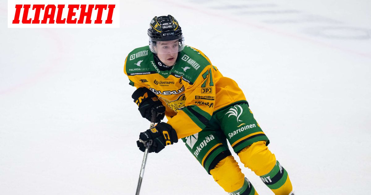 Tšekkihyökkääjästä ikävä tiedote: ”Koko Ilves-organisaation tuki ja apu”