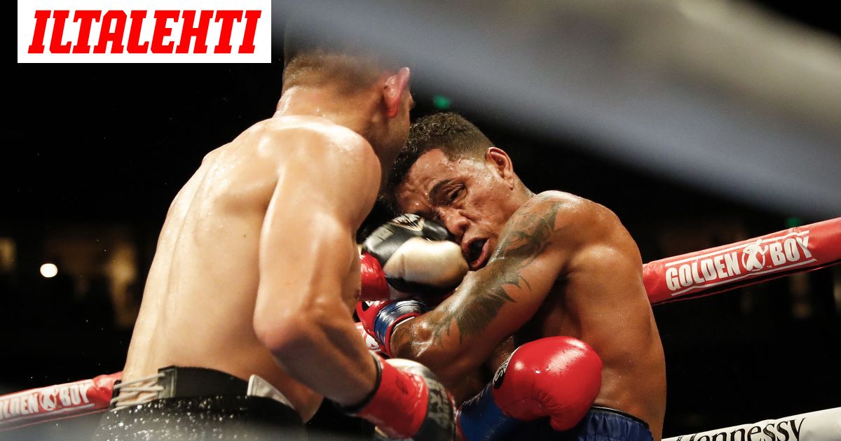 Alexis Rocha iski kovaa – George Ashie tipahti kanveesiin