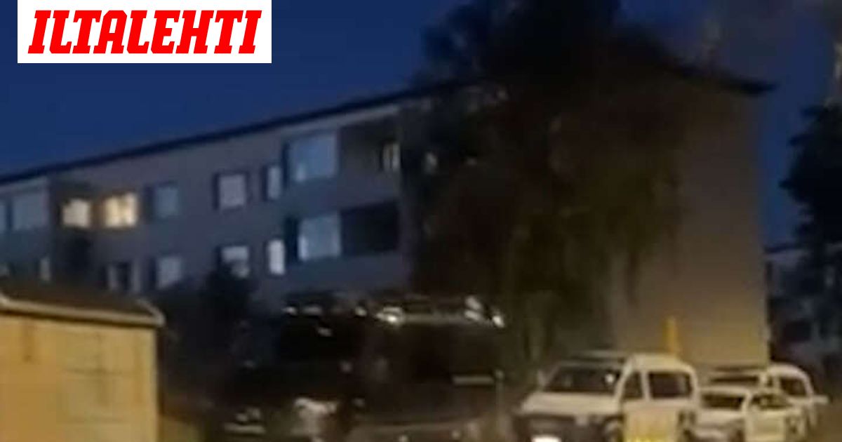 Poliisioperaatio Siilitiellä – Tästä oli kyse