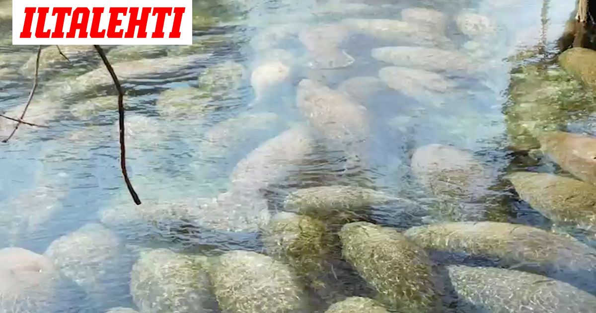 Sadat manaatit valtasivat turistien suosikkipaikan