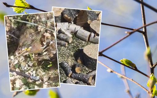 Sirri Rimppi | Iltalehti