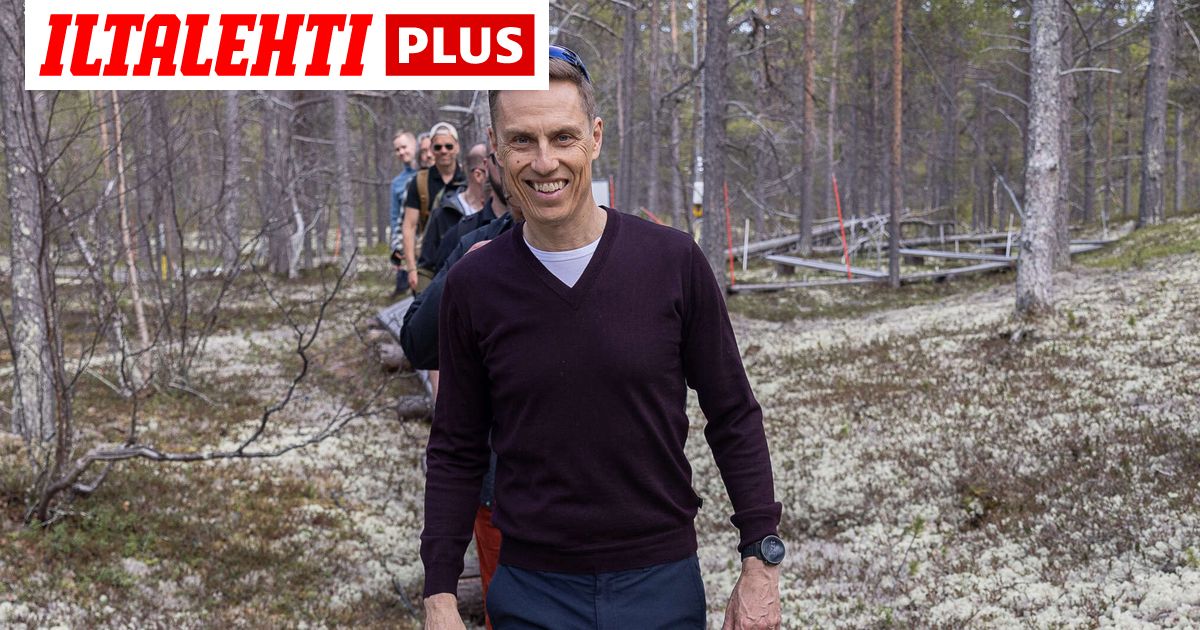 Alexander Stubb avoimena perheestä: Romanttinen matka Suzannen kanssa