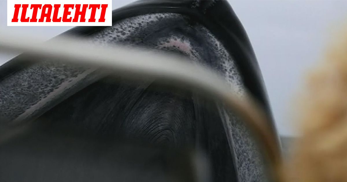 Kamera tallensi huiman otoksen: Mikä jättiläinen kaatoi veneen?