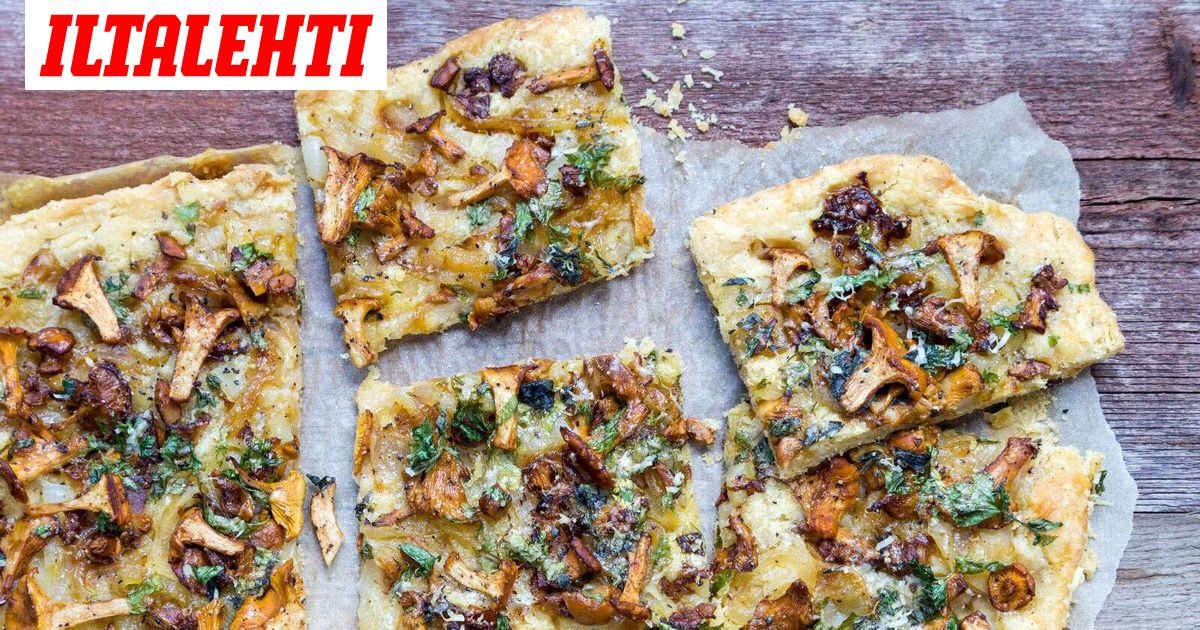 Helppo suolainen piirakka – Käytä sieniä, jotka ummikkokin tunnistaa