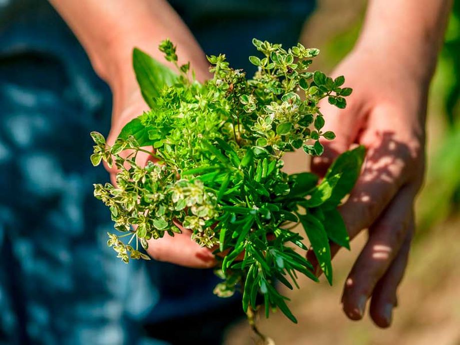 Kaupallinen yhteistyö Carmolis: Tämä pullo pelastaa kesäsi!