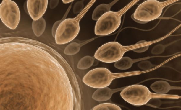 Vähemmän tunnettuja faktoja siemennesteestä