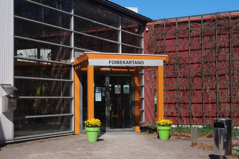 Foibekartanossa on maskipakko – Näin sitä perustellaan vuosi yleisen ...