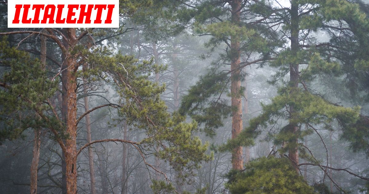 Tiistaina on sateinen ja pilvinen päivä