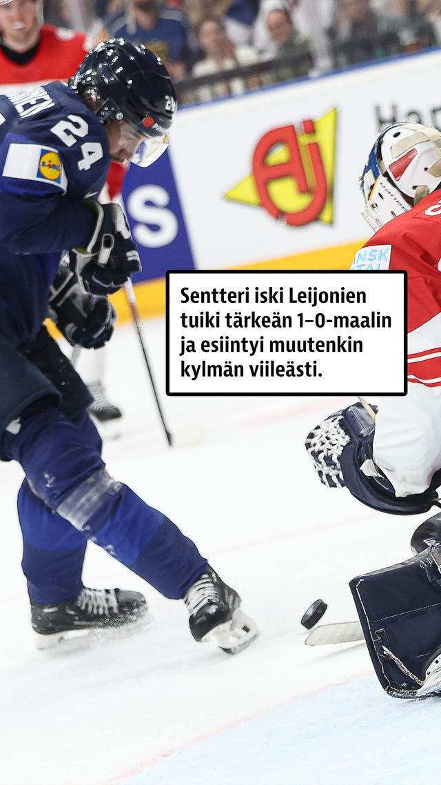 Björnisen "tonnin seteli" huvittaa – Katso kuva | Iltalehti
