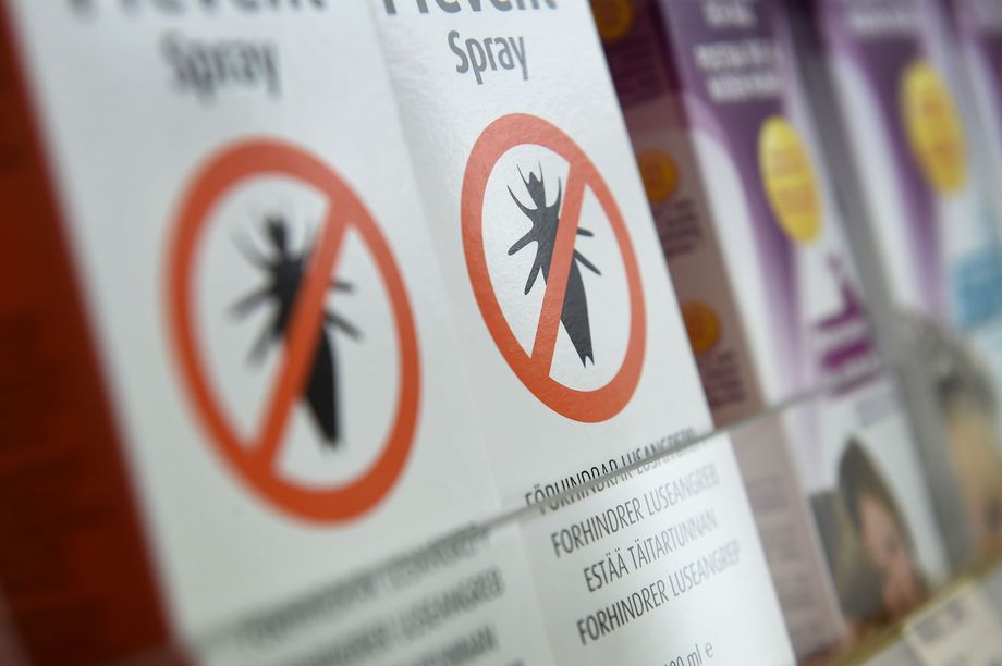 Täi- ja kihomatoepidemia piinaa päiväkoteja ja kouluja ...