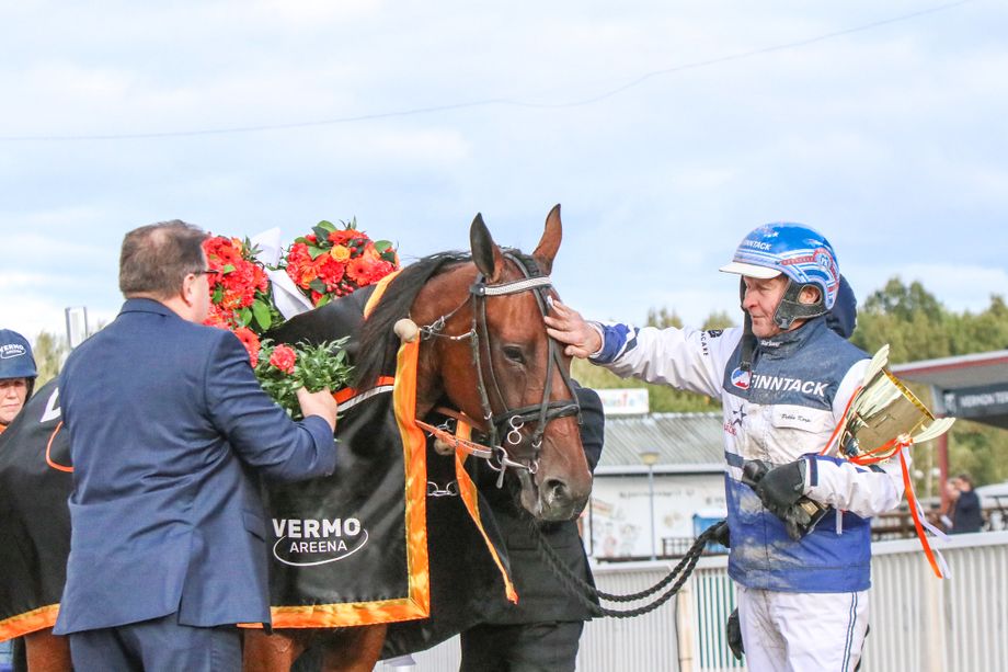Suomen voitokkaimmat ravurit 2021 – kamppailussa monta hevosta