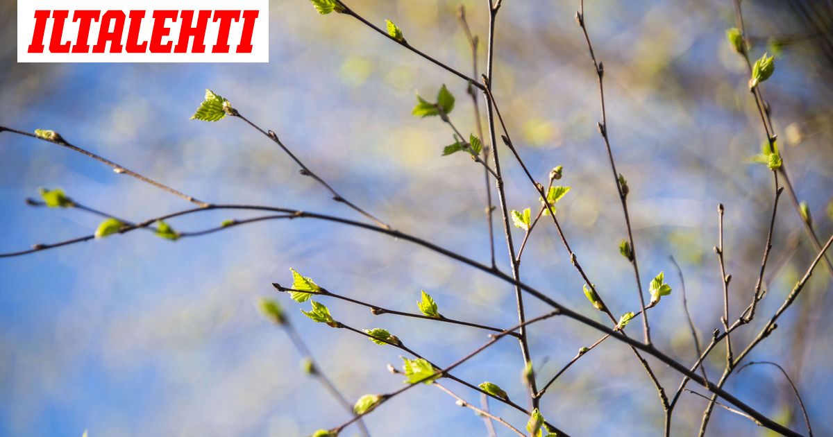 Miksi vietämme helatorstaita?