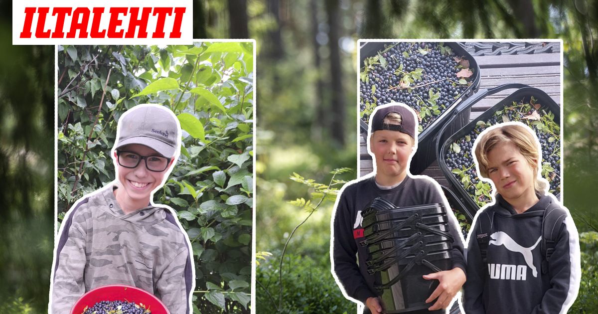 Mustikka-mayhem on tarttunut lapsiinkin – Nämä asiat vetävät Eemiliä ...