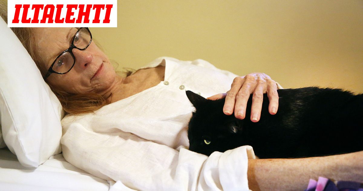 Kissa lohduttaa kuolemansairasta omistajaansa