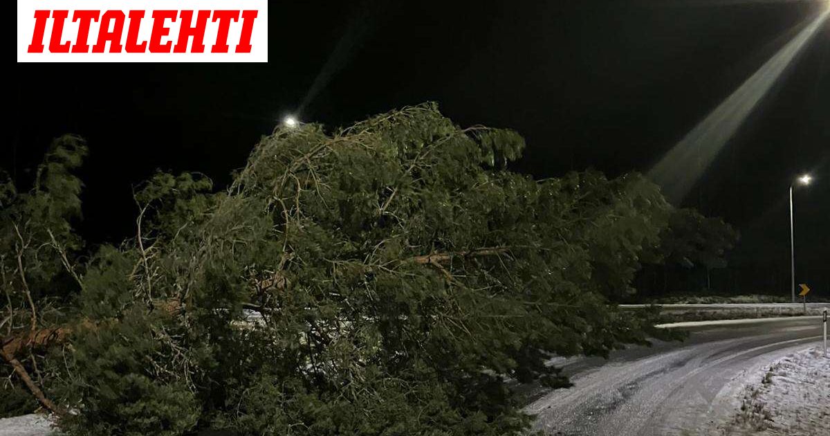 Tuuli hellittää – Näin pahaa jälkeä Hannes-myrsky sai aikaan