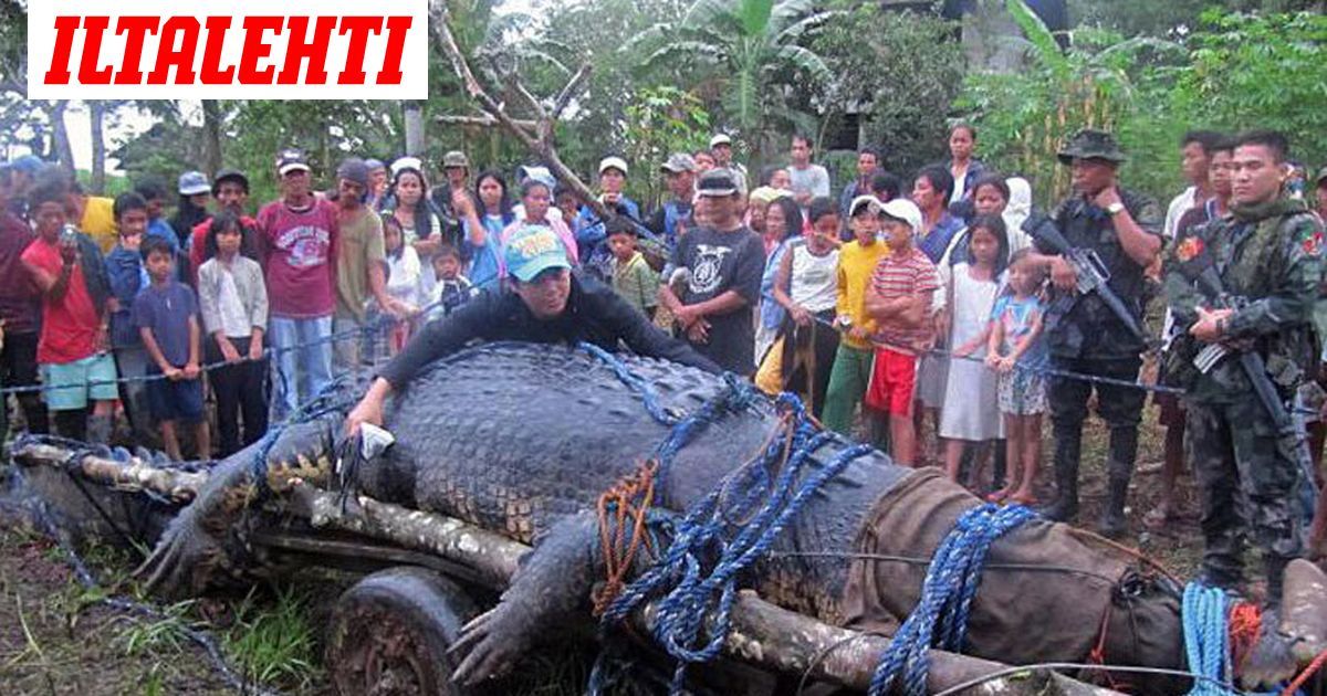 Maailman suurin krokotiili kuoli