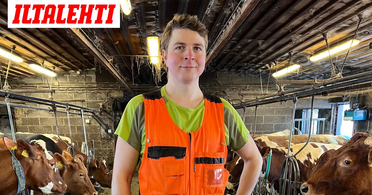 MTV: Maajussi-Arho salaili kesällä rakkauttaan ”naamioitumalla”