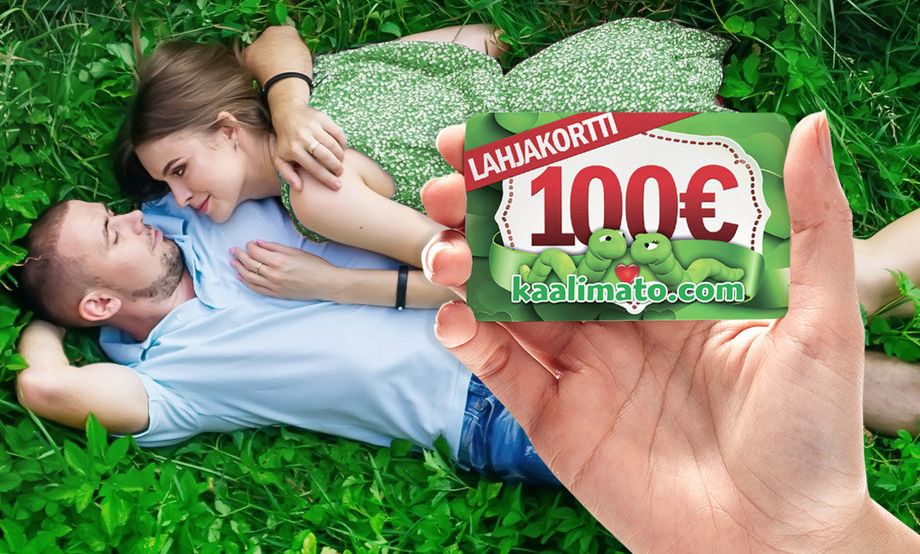 Kaupallinen yhteistyö Kaalimato: Kesä, kärpäset ja suuri ...