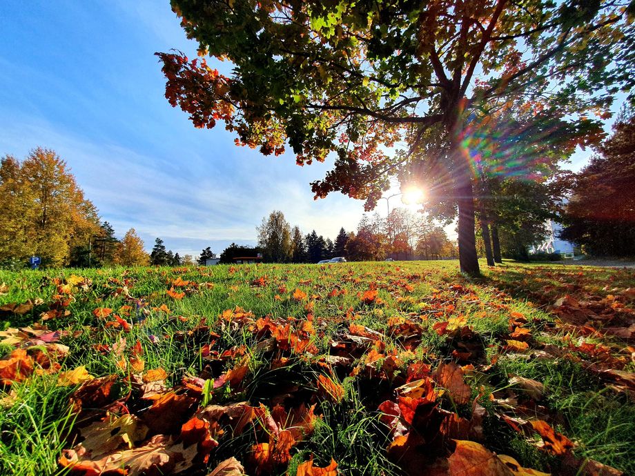 Tältä näyttää loppuvuoden sääennuste