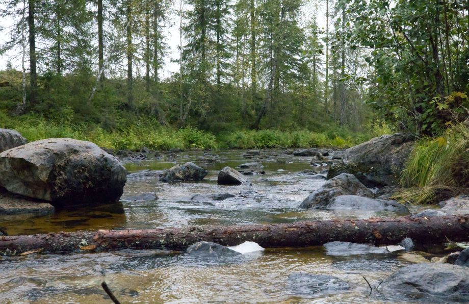 ”Jokea ei saa ylittää”, toukokuisessa sähköpostissa luki – Pian ...