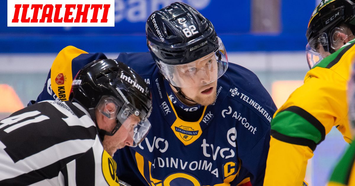 Kaksoset Julius ja Jesper Mattila kuuluvat todelliseen kiekkosukuun