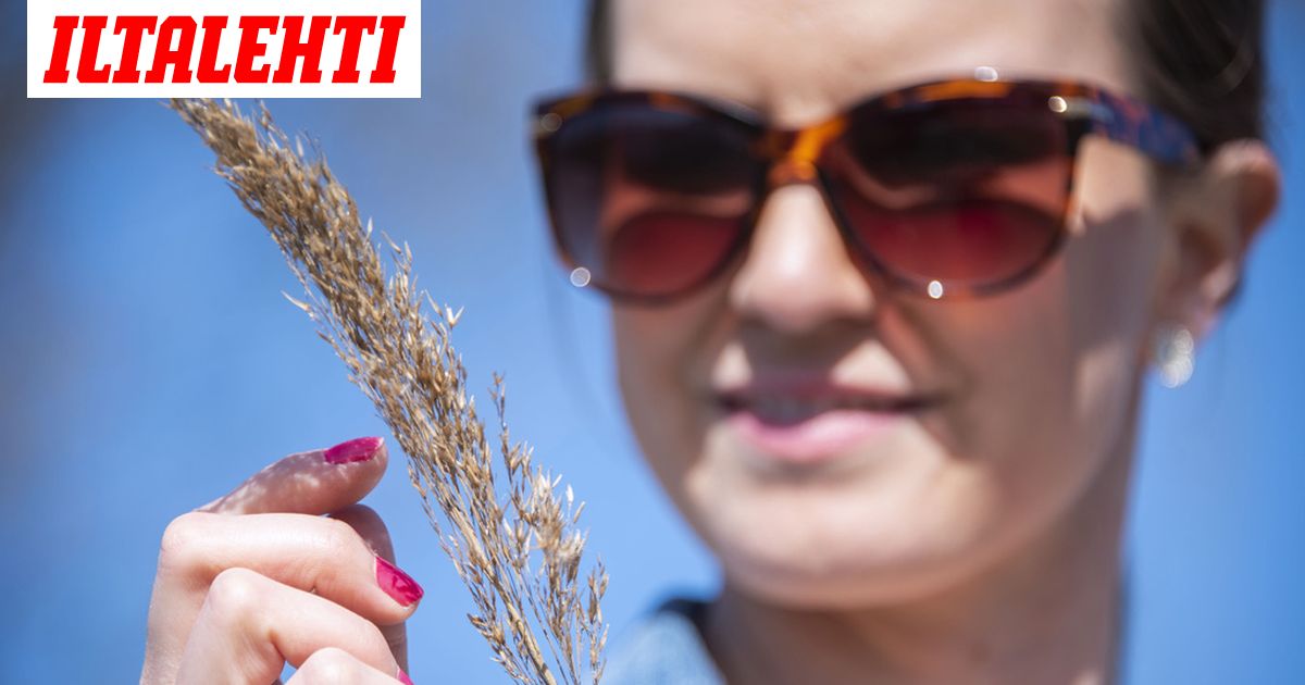 Helteet jatkuvat - katso tästä päivän sää