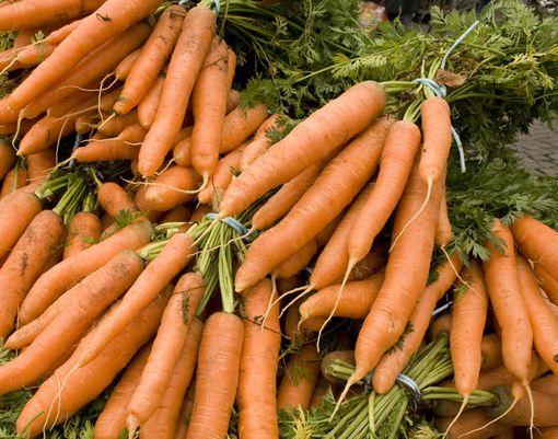 Kuumennus tai pakastus ei tapa porkkanan vitamiineja