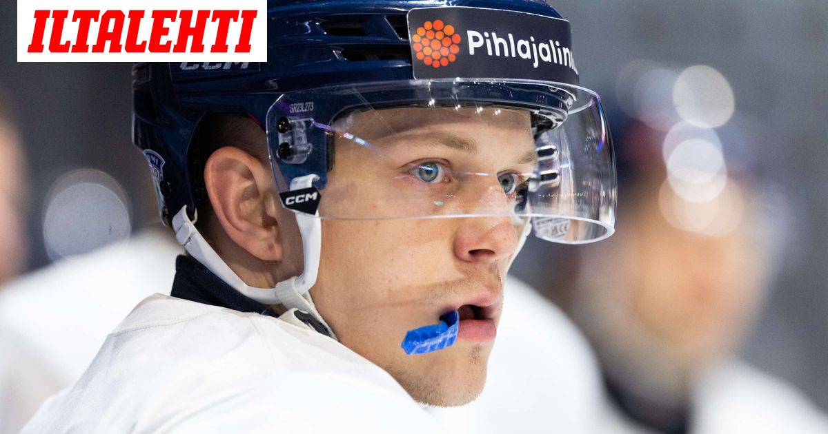 Leijonien sensaatio Atro Leppänen: Punttisali kutsuu
