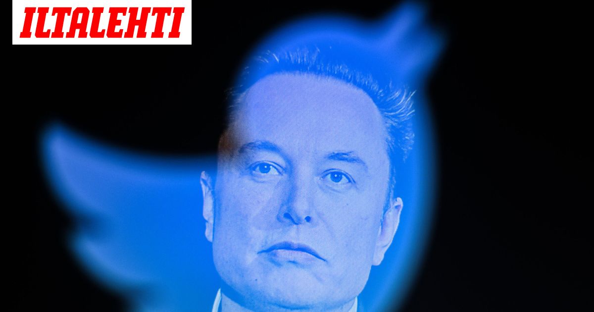 Kohta alkaa raha liikkua – Entisestä Twitteristä tulee maksupalvelu