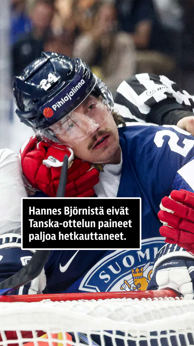 Björnisen "tonnin seteli" huvittaa – Katso kuva | Iltalehti