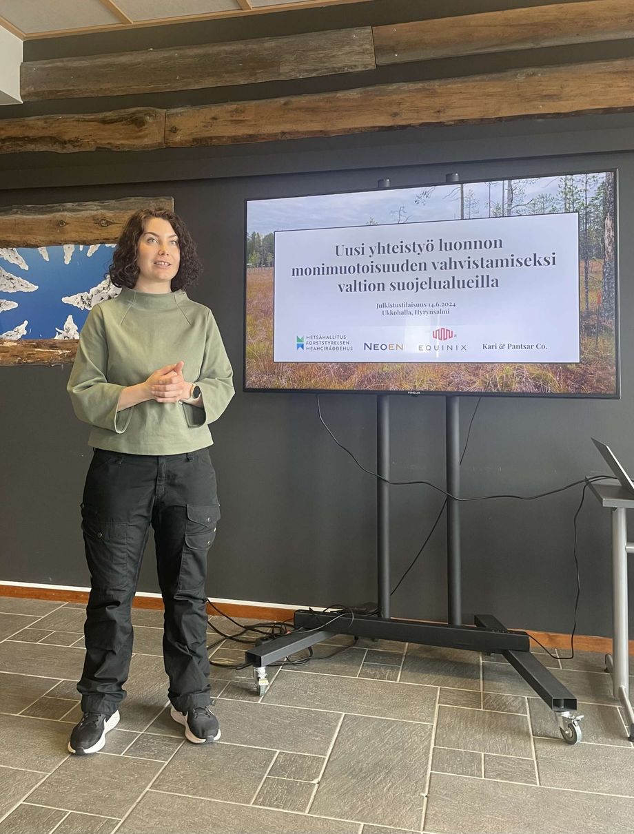 Valtion suota aletaan ennallistaa yritysten rahoilla – Ministeri ...