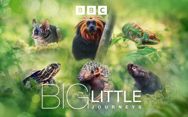 Big Little Journeys | Telkku | Ohjelman aikataulut