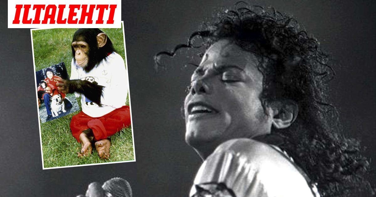 Michael Jacksonin kuolemasta on 15 vuotta – Bubbles-simpanssi on ...
