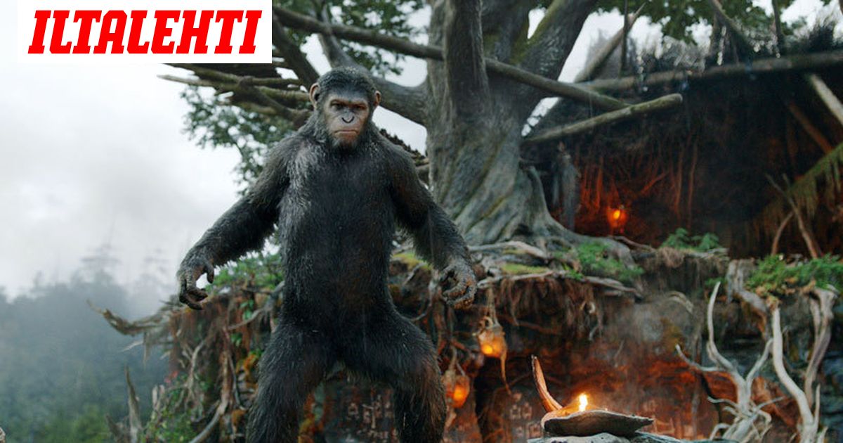 IL tapasi Klonkku-näyttelijän: matki apinoita uutuusleffan roolia varten